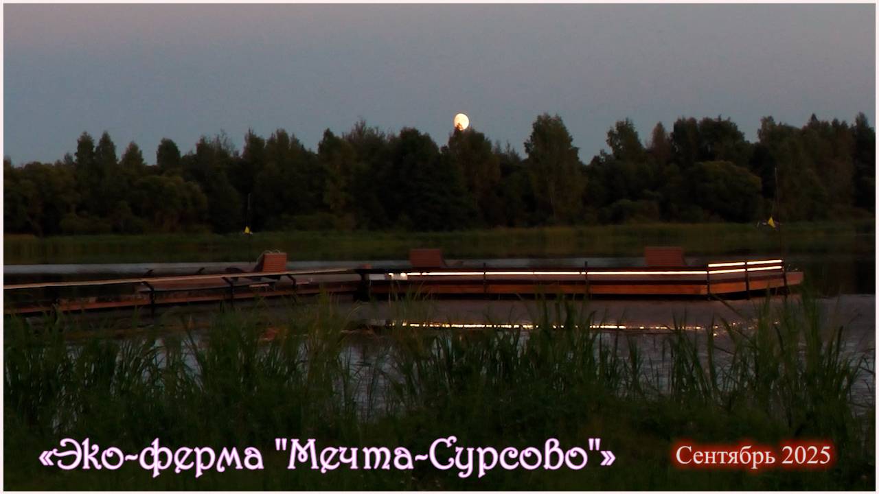 «Эко-ферма "Мечта-Сурсово"» - нашими глазами (окончание).