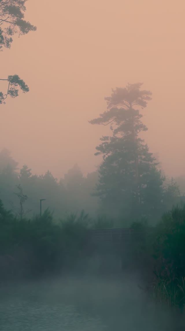 Туманное утро