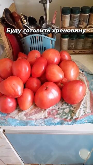 В этом году много помидор