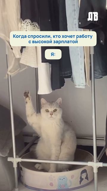 Вакансии на Дальнем