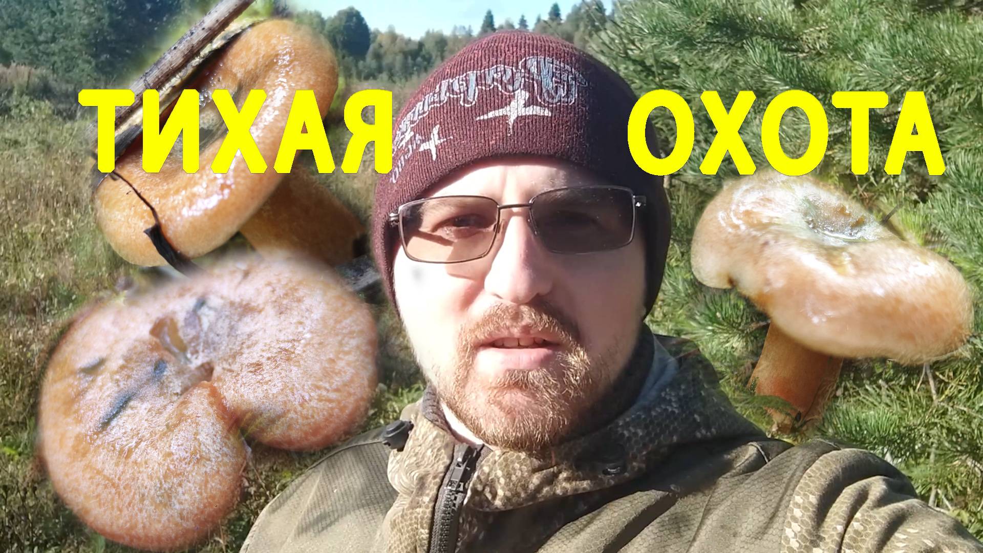 Русская осень и рыжики: Настоящее счастье тихого охотника!