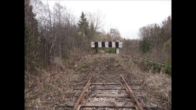 Шансон _ ЗА ЖИЗНЬ