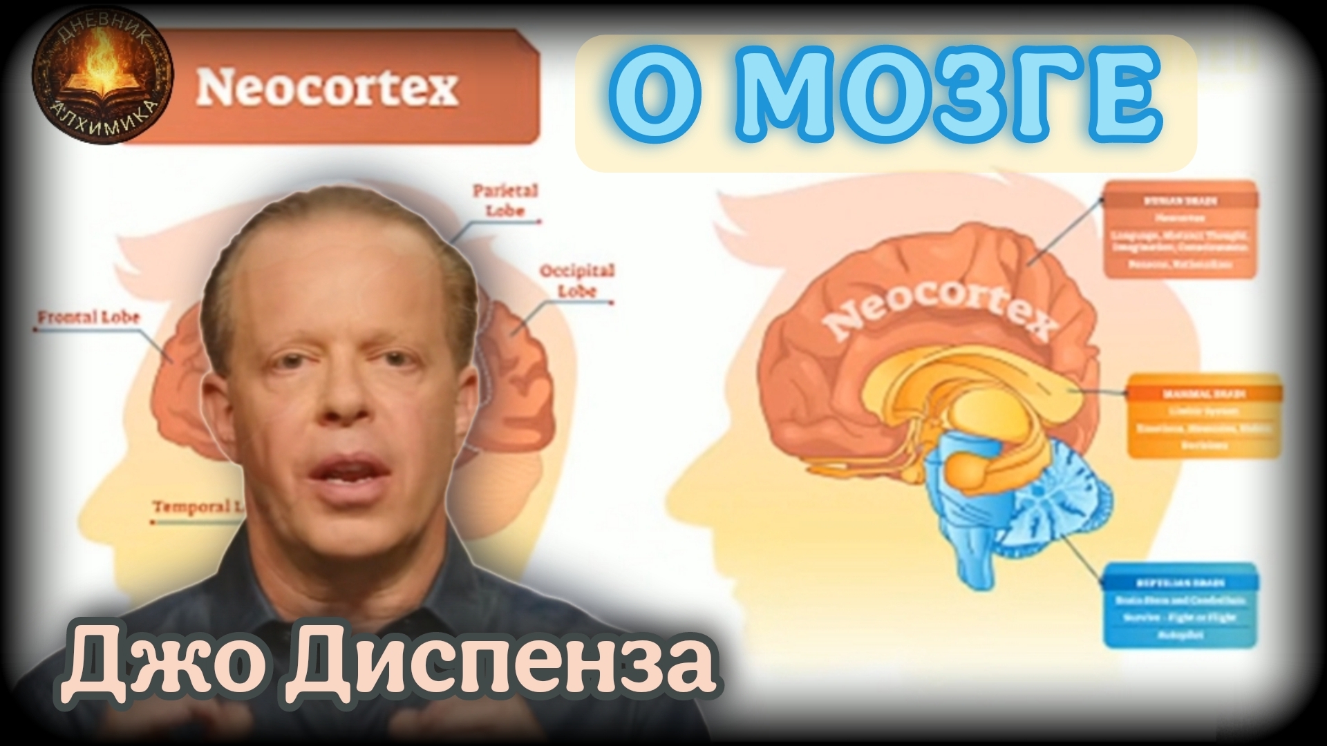 ЗНАКОМСТВО С МОЗГОМ | Джо Диспенза | ПЕРЕЗАГРУЗКА