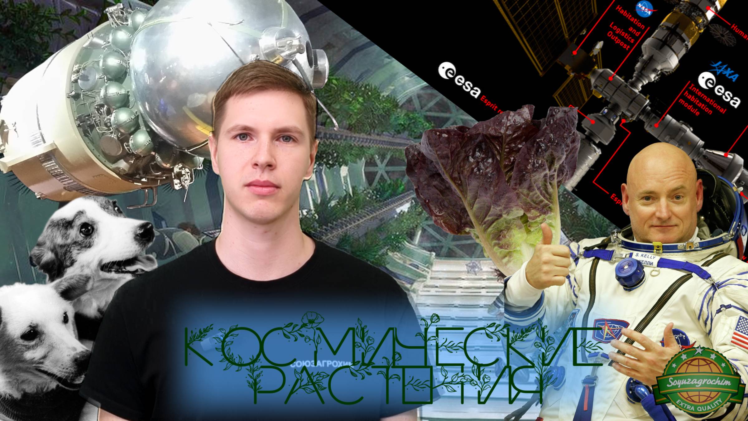 Космические растения