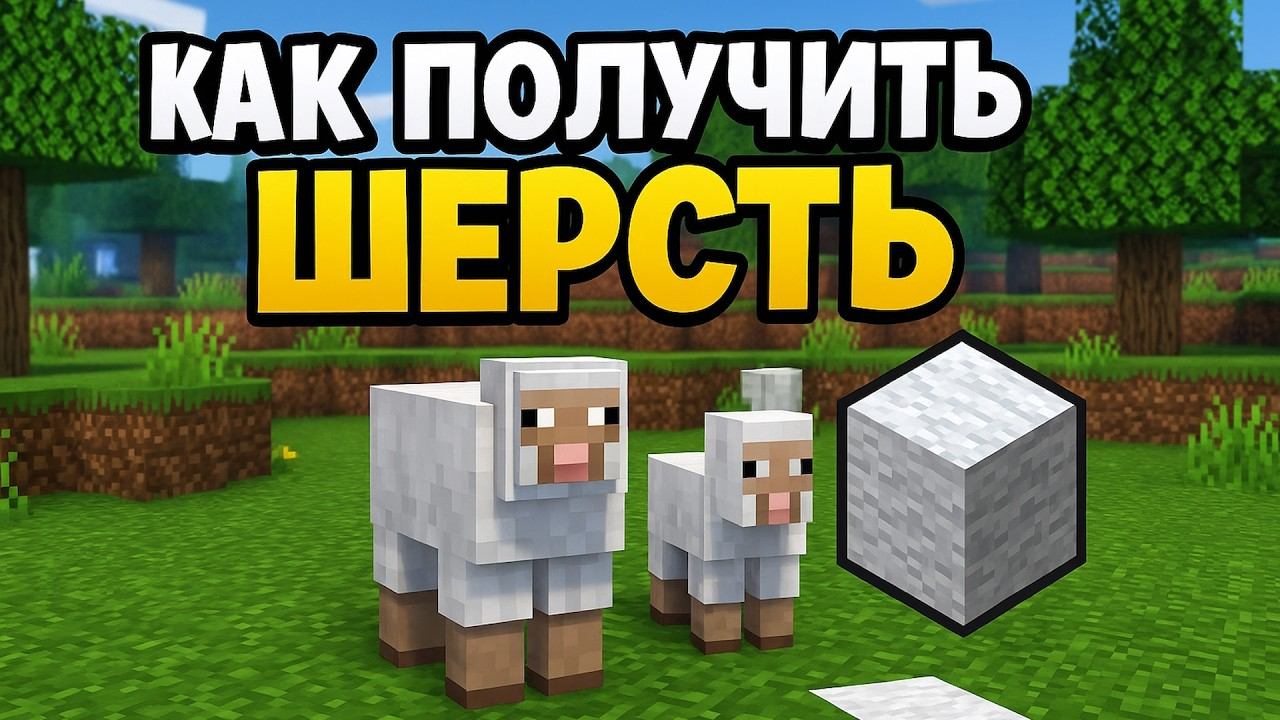 Как получить шерсть в Майнкрафте