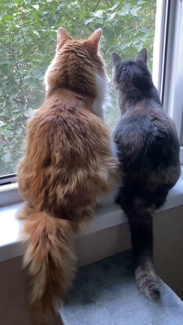 Один и ЛУна. "Прогулка" на свежем воздухе.