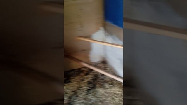 Лучшие гнёзда для кур несушек!