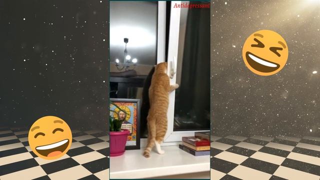 Я РЖАЛ ДО СЛЕЗ 😂 ОТБОРНЫе ПРИКОЛы, Смешные видео - Лучшие ПРИКОЛЫ #13