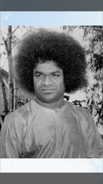 Извлекайте из сатсанга только хорошие идеи История 82.mp4