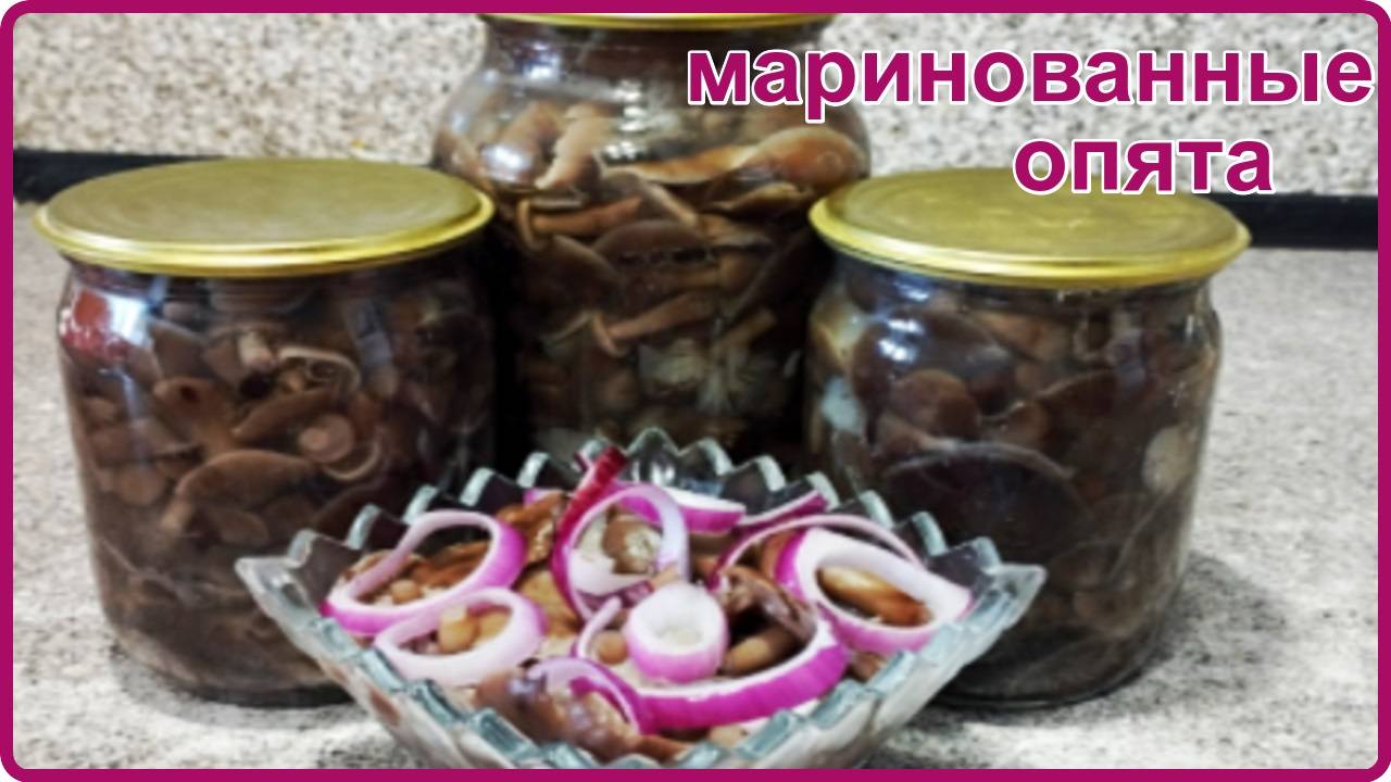 Заготовки на зиму - ЗАМОРАЖИВАЕМ И МАРИНУЕМ ОПЯТА