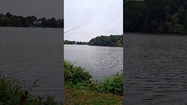 Такого клева я не ожидал! 🎣 Ларва на отводном работает мощно