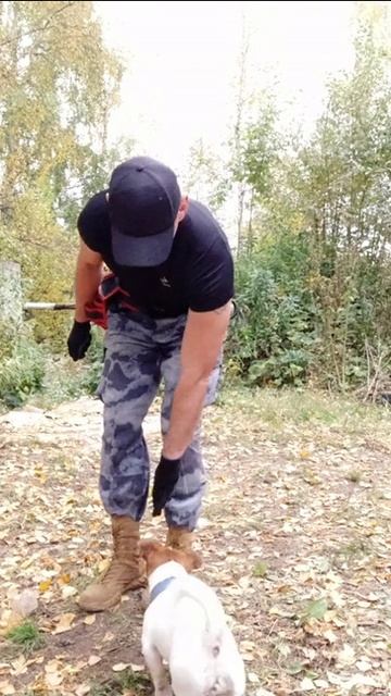 Дрессировка щенка: с чего начать? Команда "Ко мне"  с посадкой у левой ноги.