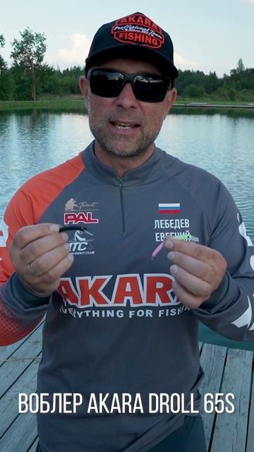 Скидки на воблер Akara Droll 65