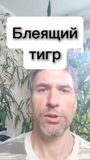 2025-09-19 Тигр, щипавший траву. Рамакришна. Притчи и истории.