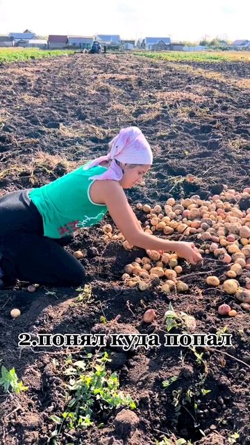 Актуально осенью🤣