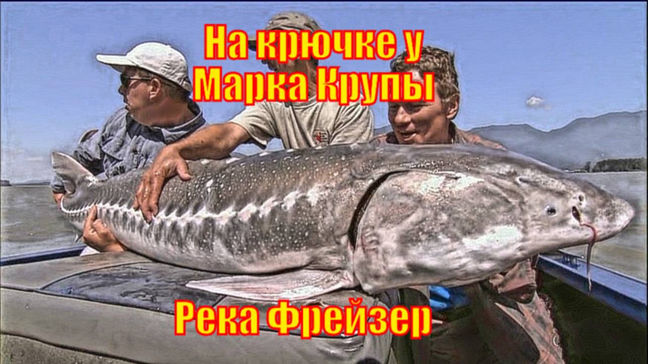 На крючке у Марка Крупы - Река Фрейзер