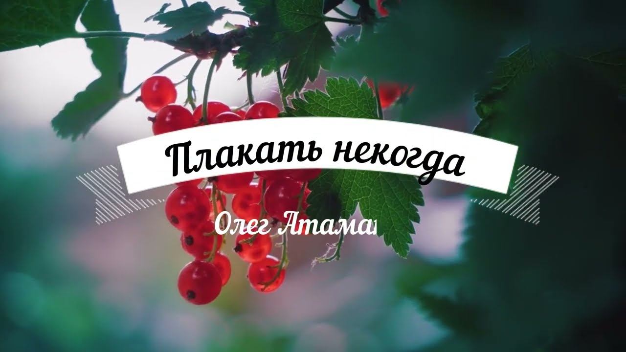 "Плакать некогда".  Олег Атаманов.