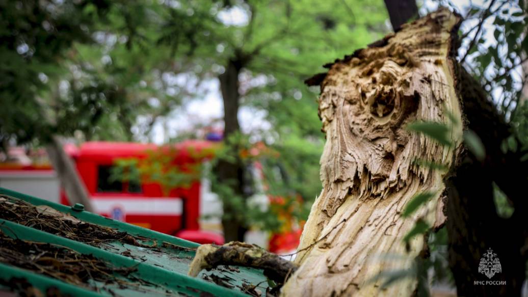 Последствия непогоды устраняют сотрудники МЧС России по Севастополю