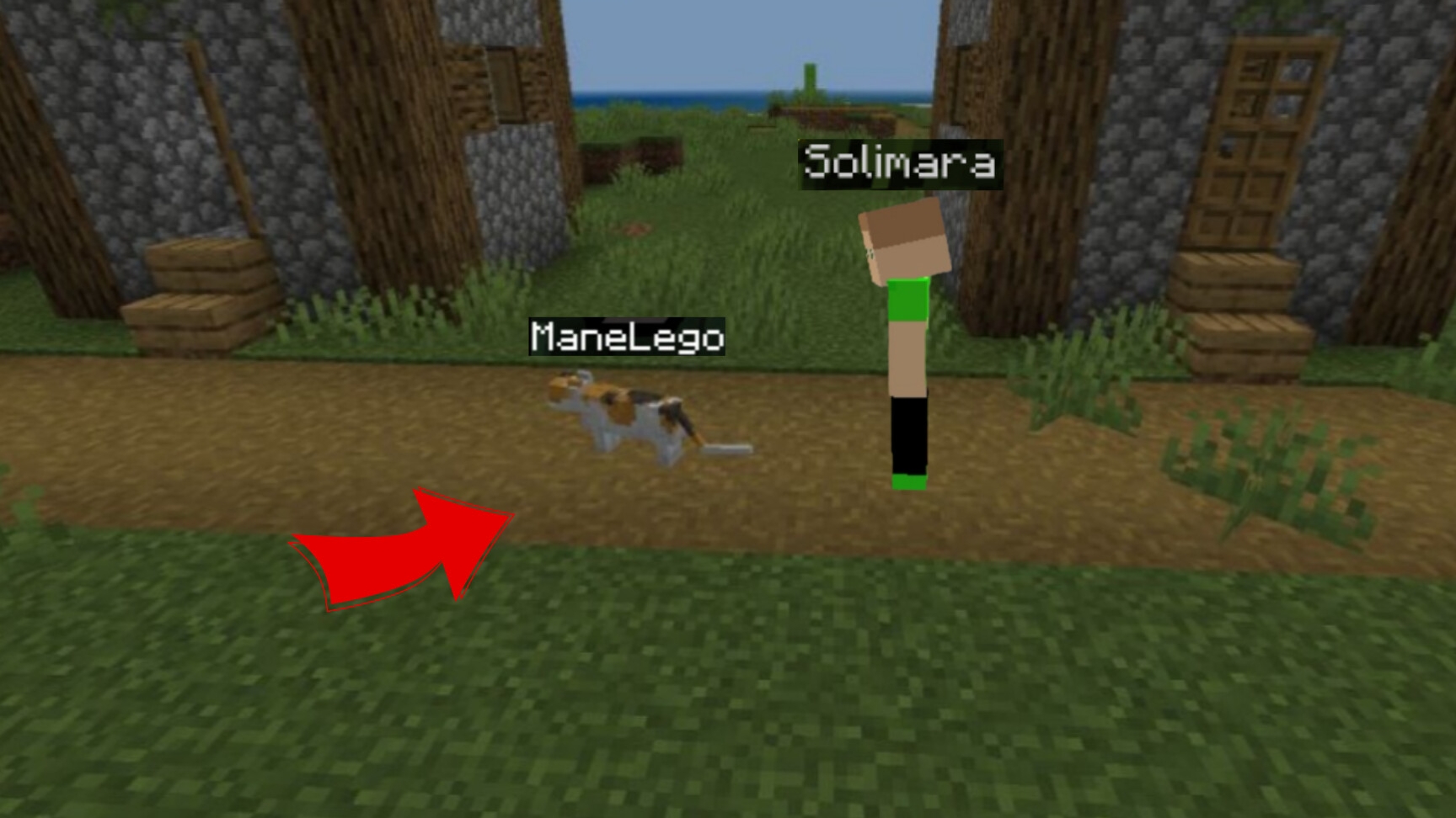 Прятки превращая в мобов с Солимарой в Майнкрафте | ManeLego minecraft