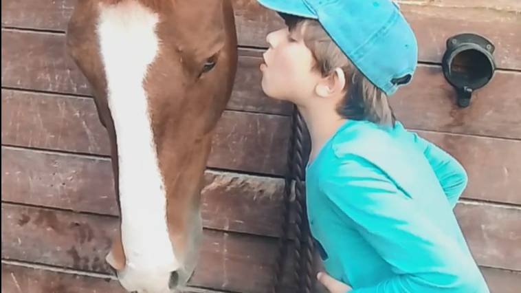 Конный двор Лосиный остров 18.09.2025