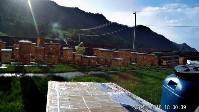 2025_0518_175541_069