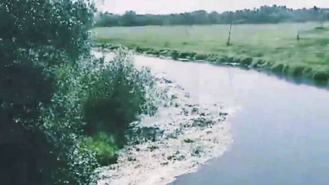 7 родников. Родник медведицы