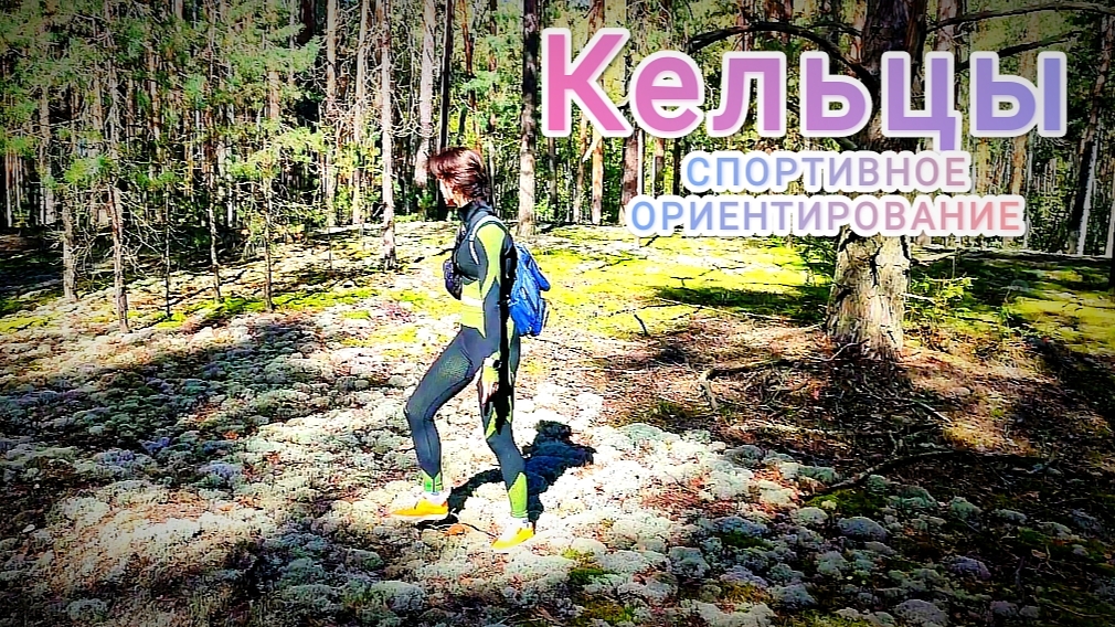 Спортивное ориентирование в Кельцах