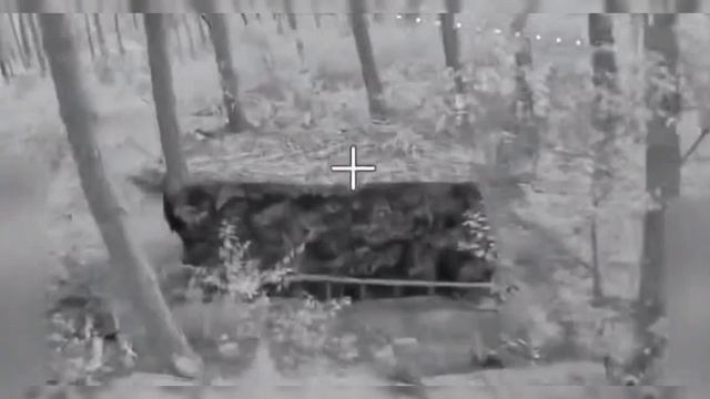 Карлсон, Малыш и Ко... 19 09 25