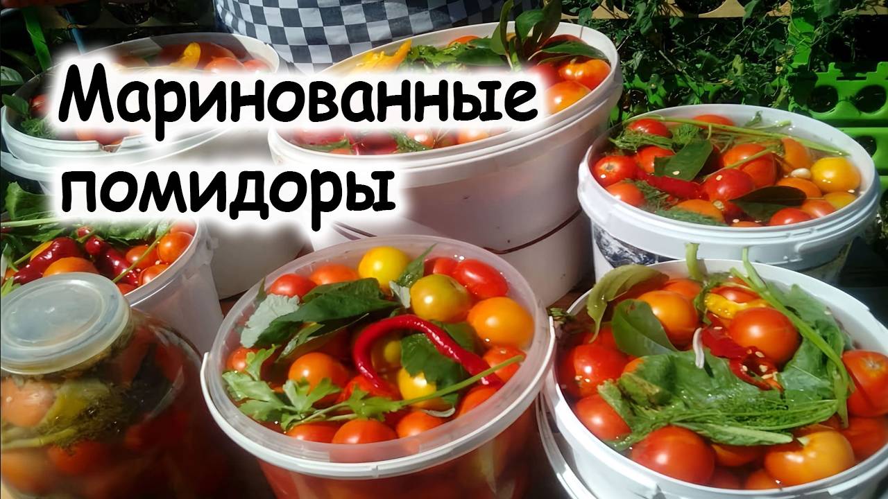 Бочковые помидоры