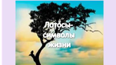 лотосы- символы жизни