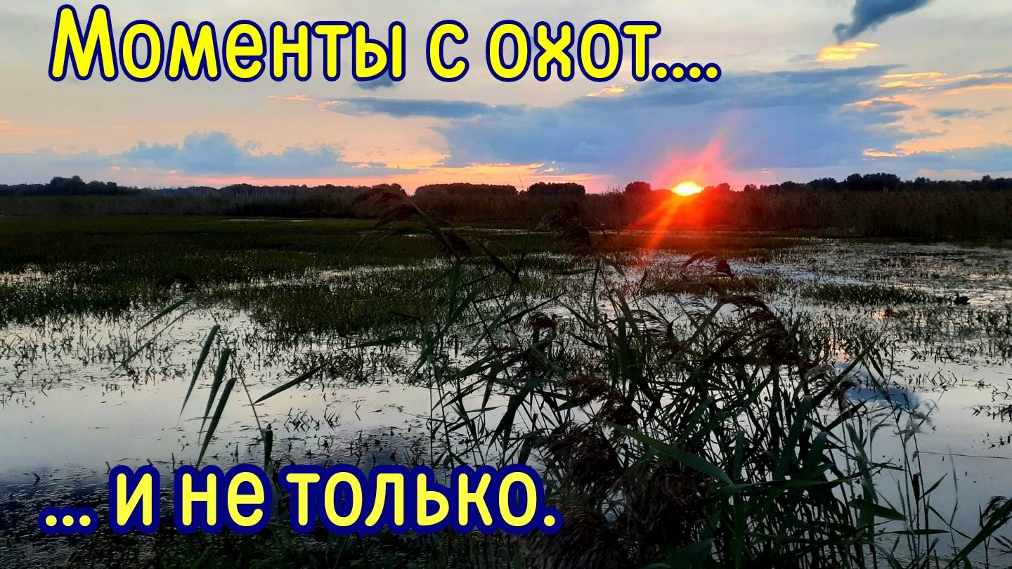 Рыбалка | Охота | Набили шишки у деда с кедра