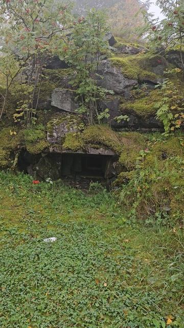 Карелия. Медвежьегорск. Гора Лысуха. Karelia. Medvezhyegorsk. Mount Lysukha