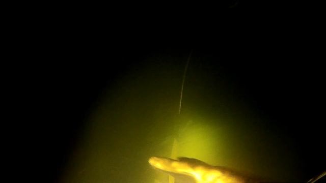 Ночные купания