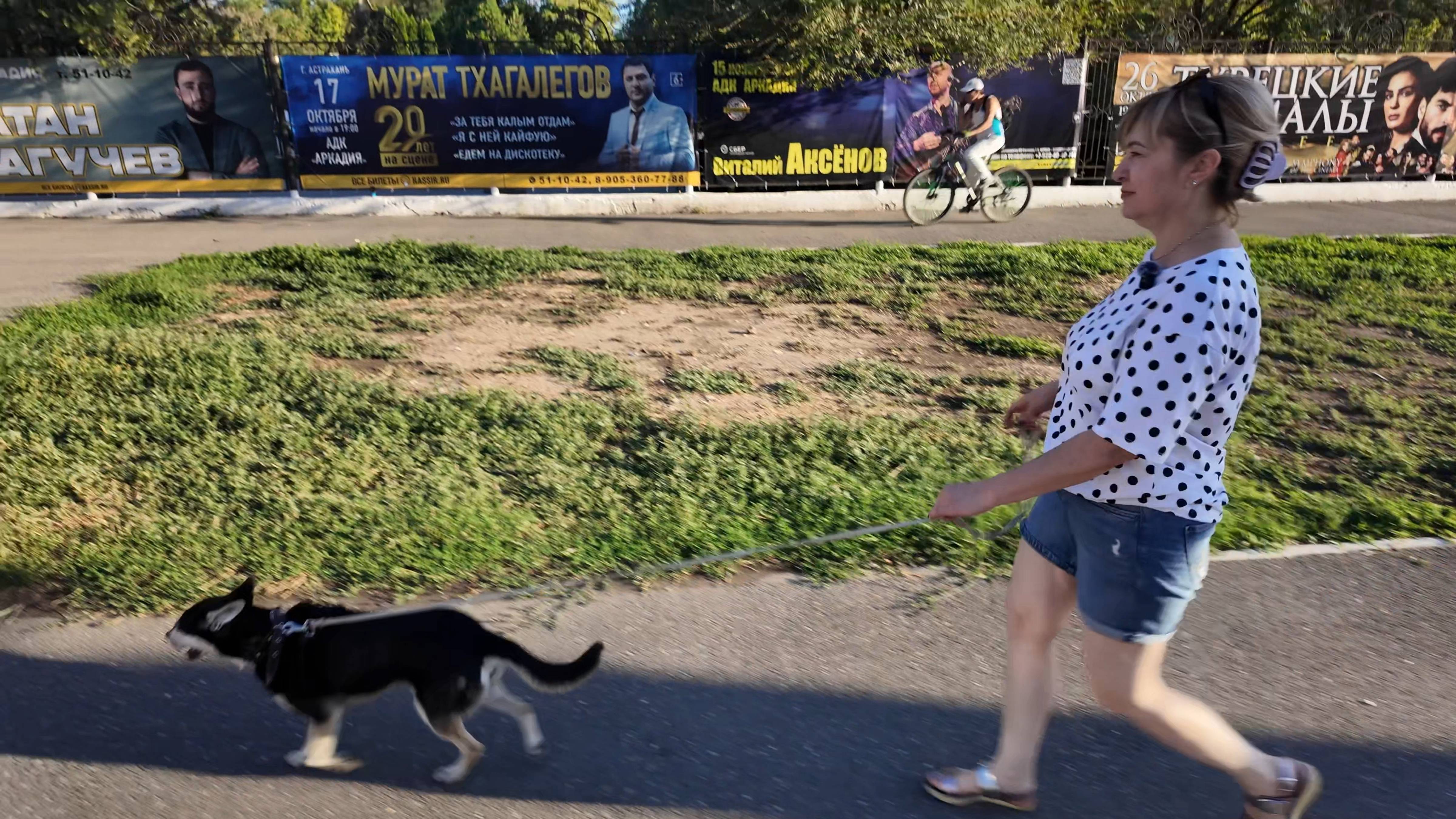 Идём гулять с Ритой-Басей. 1-я часть прогулки. 22.08.2025. DJI Pocket 3.