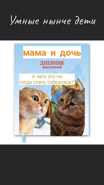 Сериал #ДваКота про школьников нового поколения! #юмор #котики #анекдот #шутка #рек #топ #коты #мем