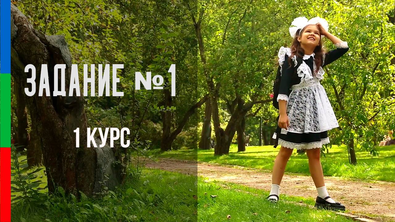 ДО11 Перфилова Судьба сменки