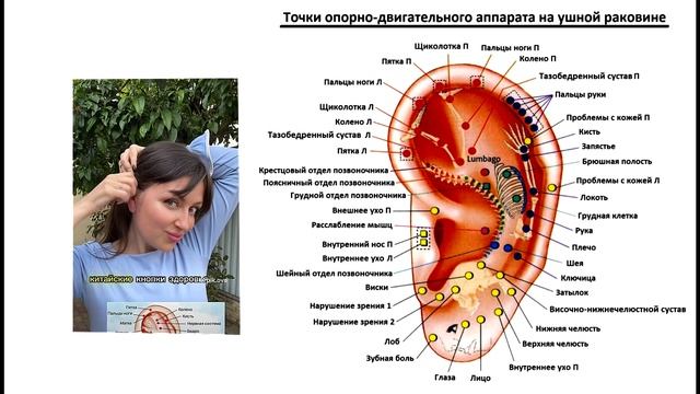 О пользе простого всего только 3-хминутного массажа ушей