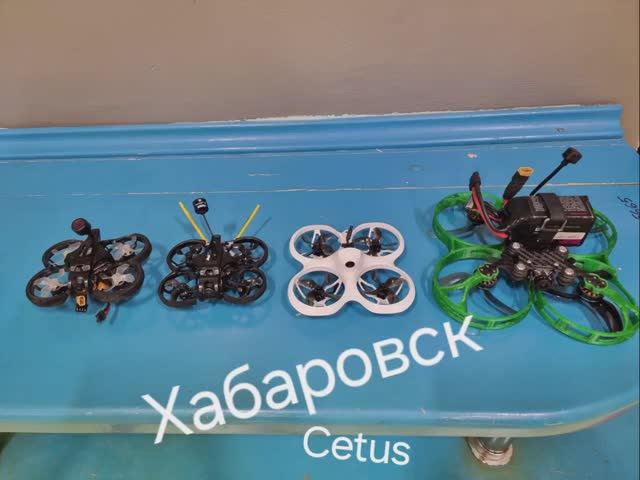 Cetus X. Спортзал.