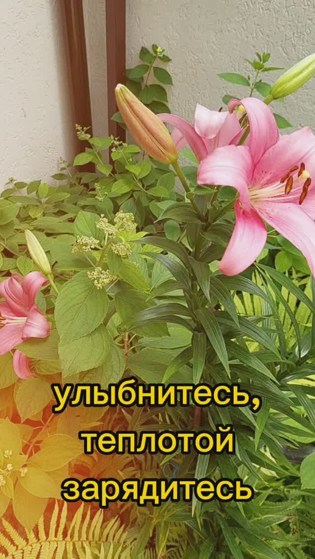 улыбнитесь, теплотой зарядитесь