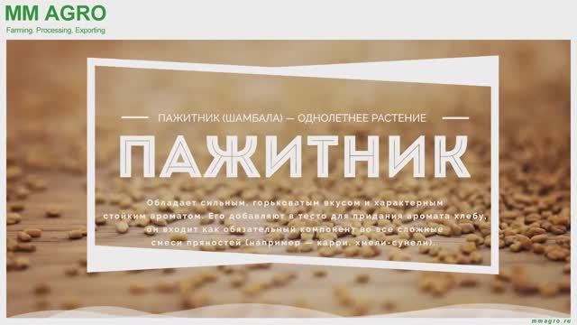 MM AGRO пажитник