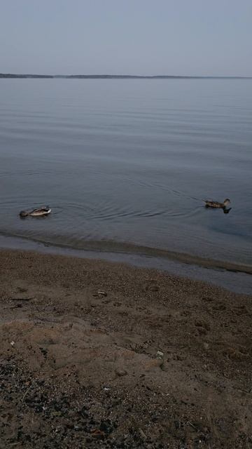 Карелия. Медвежьегорск. Karelia. Medvezhyegorsk