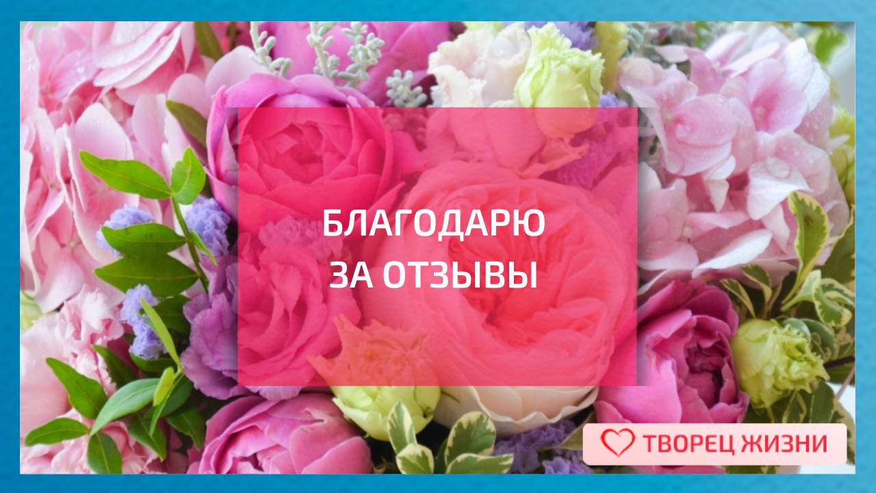 Отзыв Meeus Svitlana о Базовом курсе обучения регрессологии