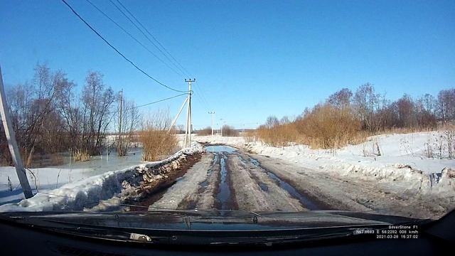 Дорога до Хаски центр город Пермь 2021