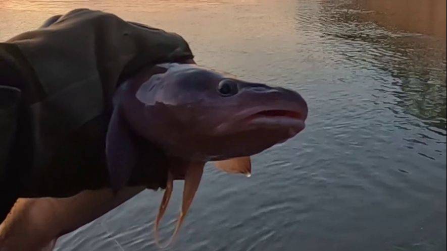 А НАЧАЛОСЬ ВСЕ НЕ ПЛОХО ! Рыбалка на Оби 16 сентября 2025г.