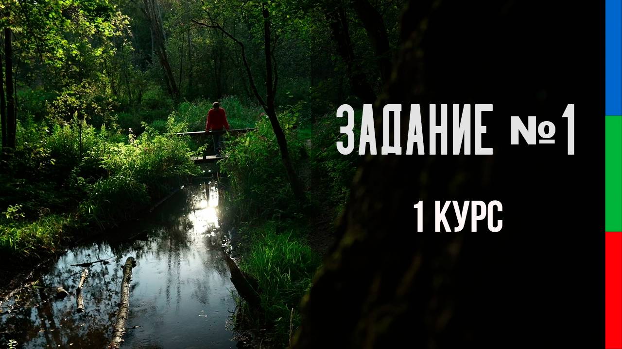 ДО11 Ярмоленко Прогулка