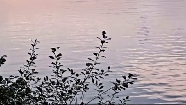 Ф. Шуберт - Вечерняя серенада F. Schubert - Serenade