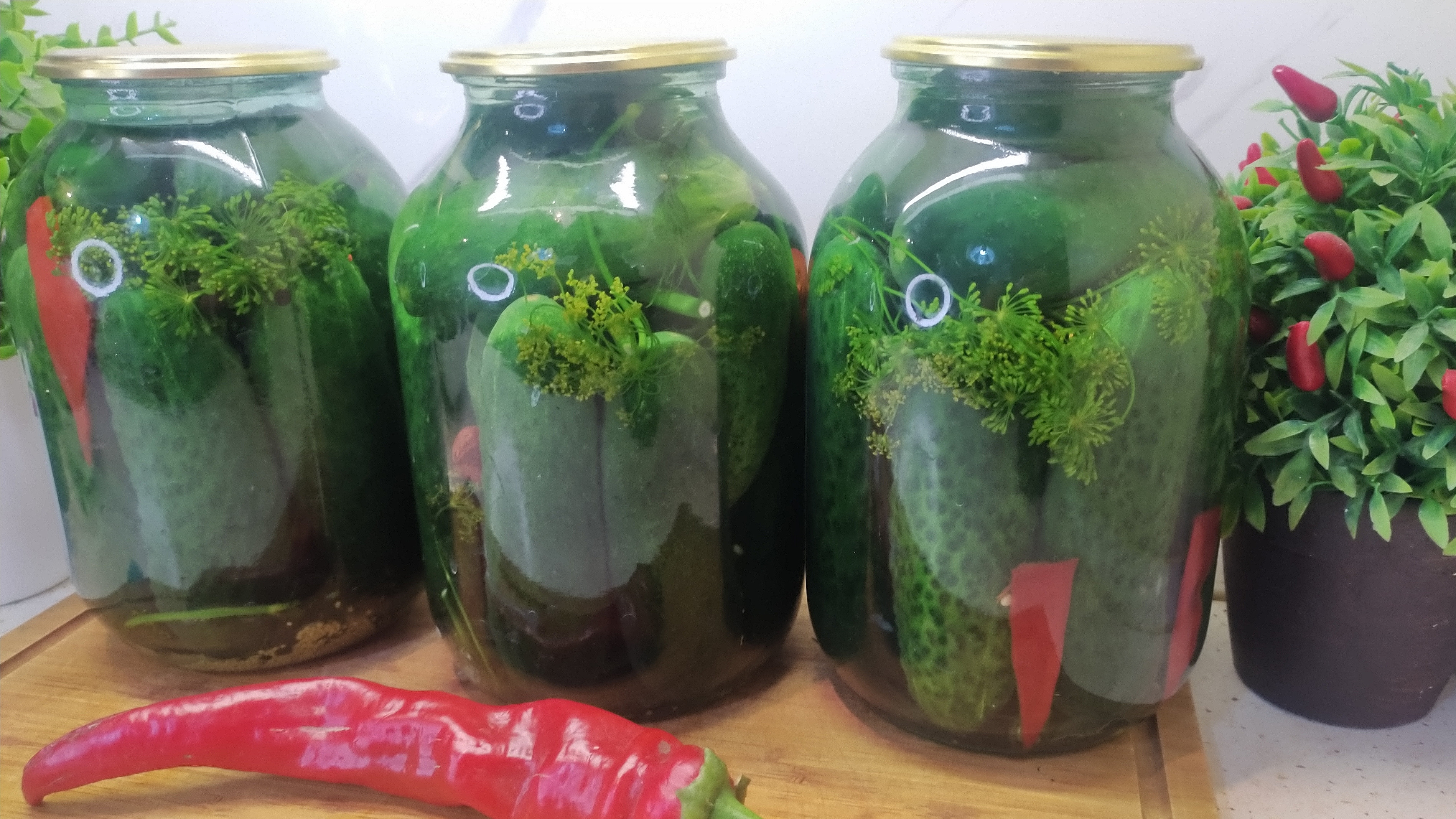 Огурцы без заморочек! Без уксуса