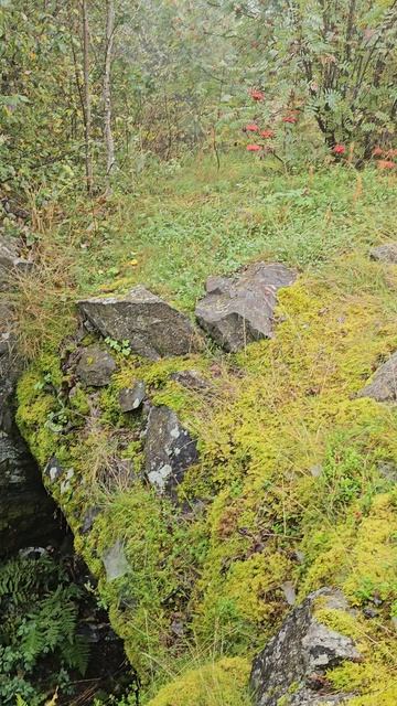 Карелия. Медвежьегорск. Гора Лысуха. Karelia. Medvezhyegorsk. Mount Lysukha