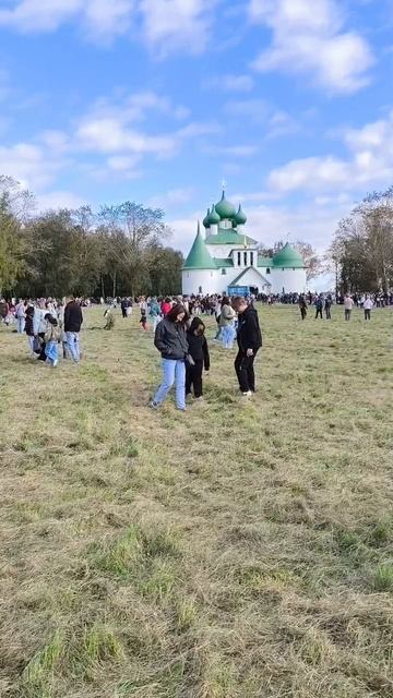 Куликово поле 2025