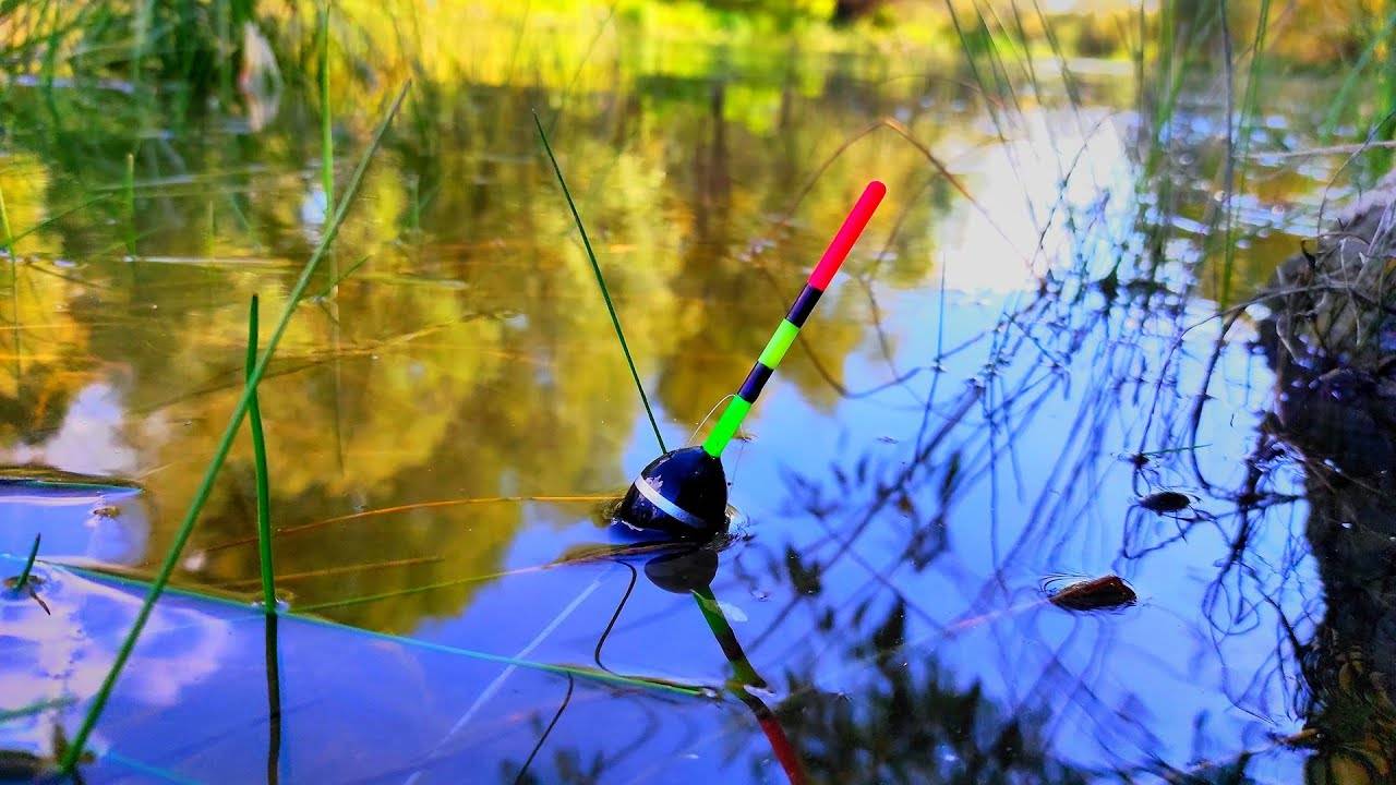 ЧЕСНОЧНАЯ ХИТРОСТЬ СРАБОТАЛА! Эта Насадка ВЫДАЛА КРУПНОЕ! Рыбалка на поплавок 2025